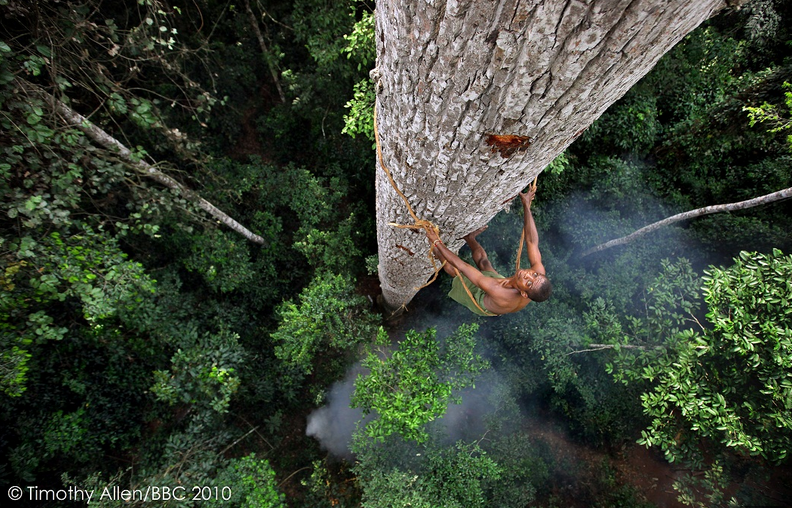BBC's 'Human Planet: Jungles-People of the Trees' on News TV | GMA News ...