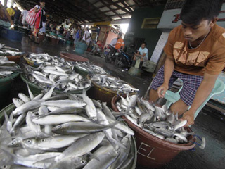 Seafood prices going up: report | GMA News Online