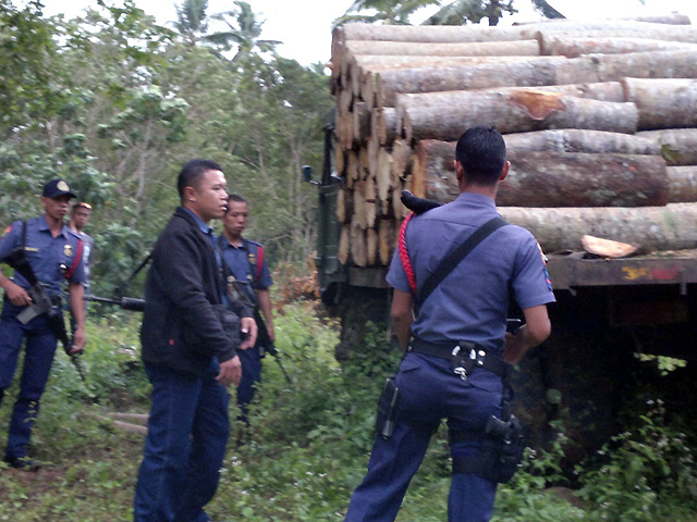 Illegal logging 'hotspots' down to 31 from 197 — DENR | GMA News Online