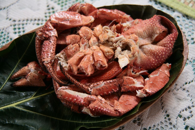 Dig in—the food's always fresh in Batanes | GMA News Online