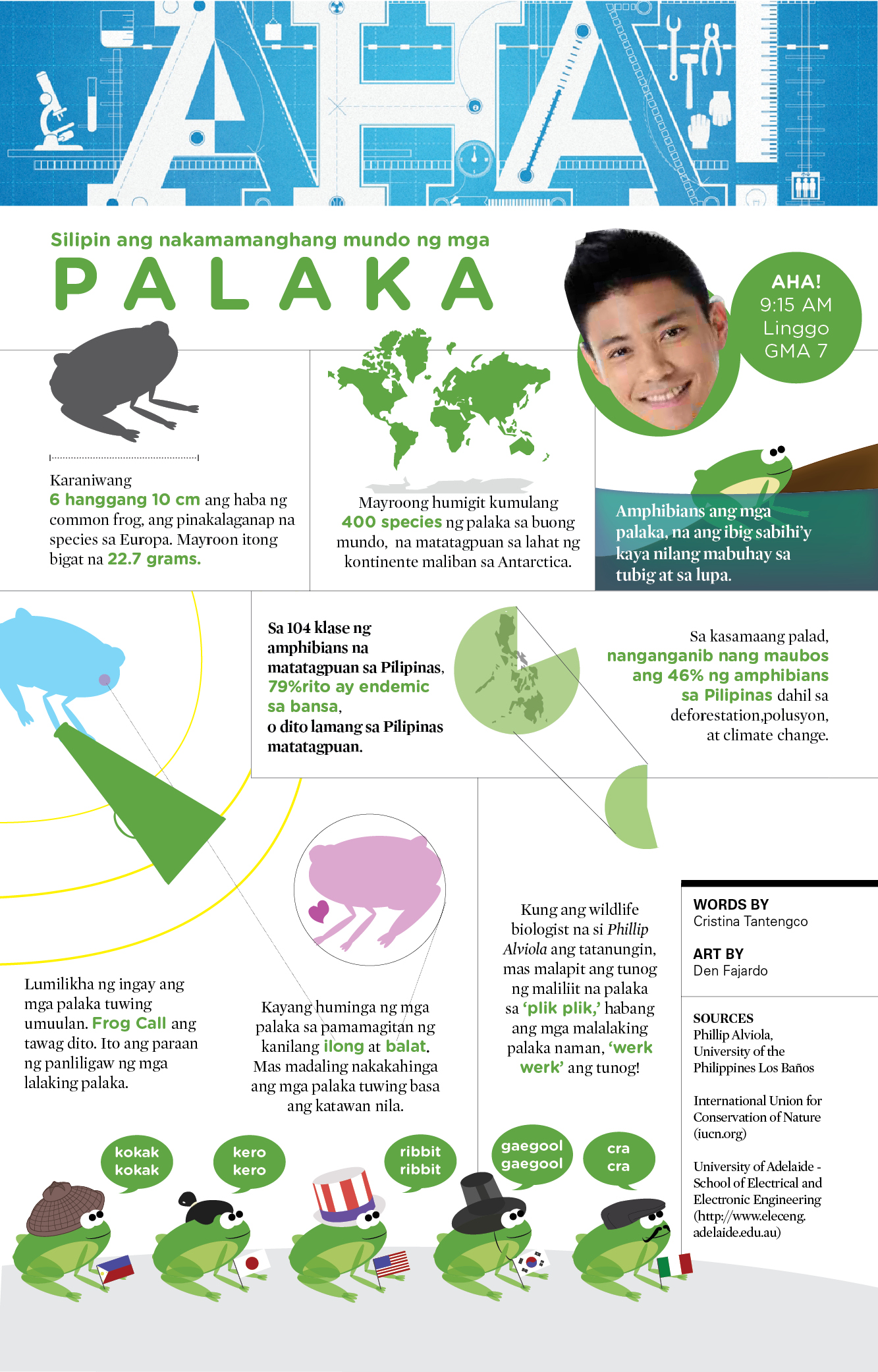 AHA-mazing Facts: Ang nakamamanghang mundo ng palaka | GMA News Online