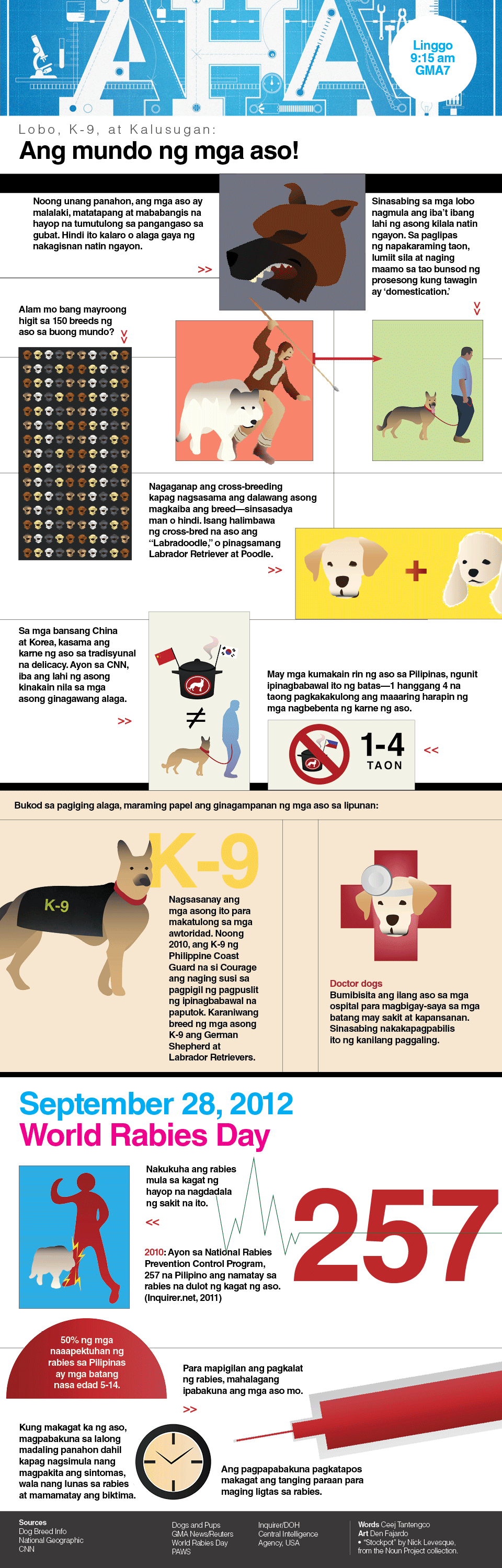 Infographic: Ang mundo ng mga aso! | GMA News Online