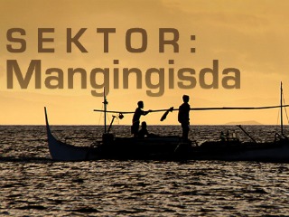 Infographic: Mga mangingisda, hirap umahon sa dagat ng kahirapan | GMA ...