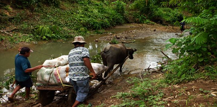 'Binhi ng Kahirapan' sa Reporter's Notebook | GMA News Online