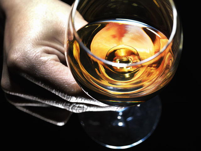 Emperador buys Spanish brandy maker Bodega | GMA News Online