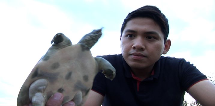 Mga soft shell turtle, namemerwisyo sa Pampanga | GMA News Online