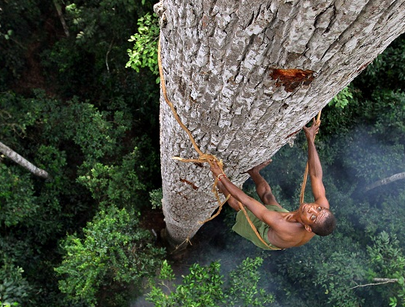 BBC's 'Human Planet: Jungles-People of the Trees' on News TV | GMA News ...