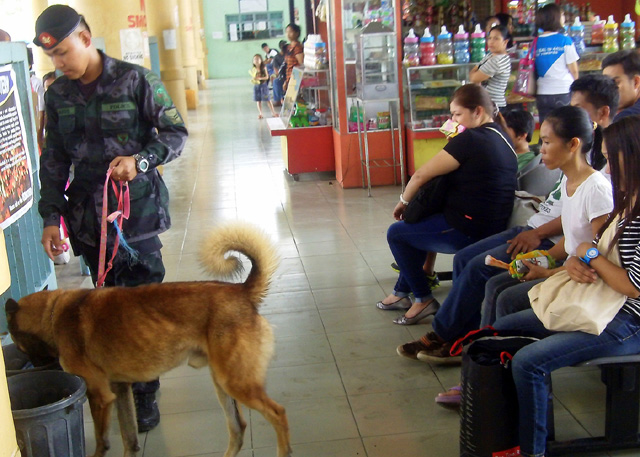 PNP eyes to have 300 K9 dogs by year end | GMA News Online